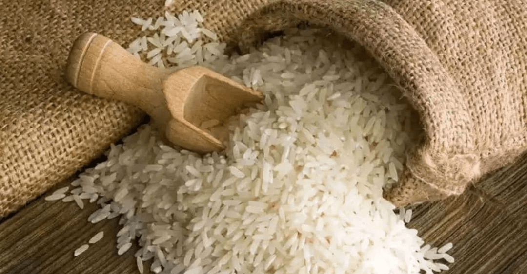 5,500 per cent multibagger returns: Rice manufacturing stock in focus ...