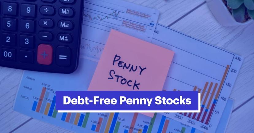 Debt-free multibagger penny stock under Rs 25: This fintech innovator ...