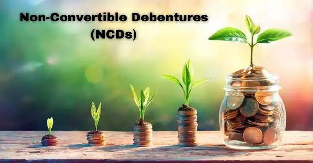 Understanding NCDs (Non-Convertible Debentures): Types and Key Information